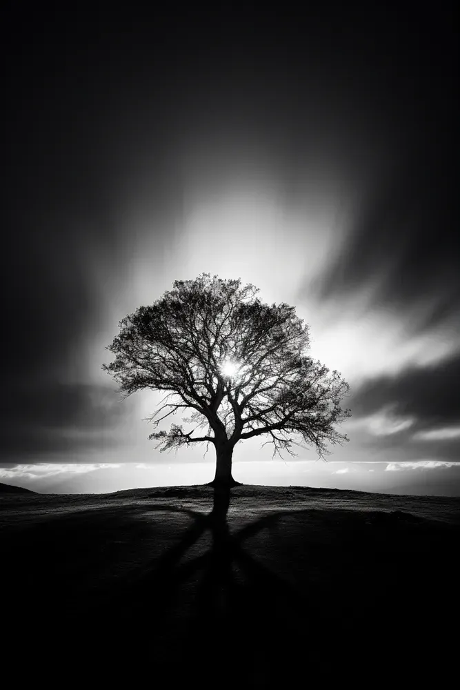 Strong Light And Shadow Contrast Photos Midjourney Prompt | PromptBase