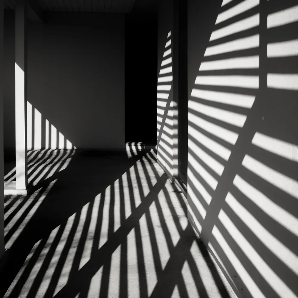 Black And White Shadow Photographs Midjourney Prompt | PromptBase