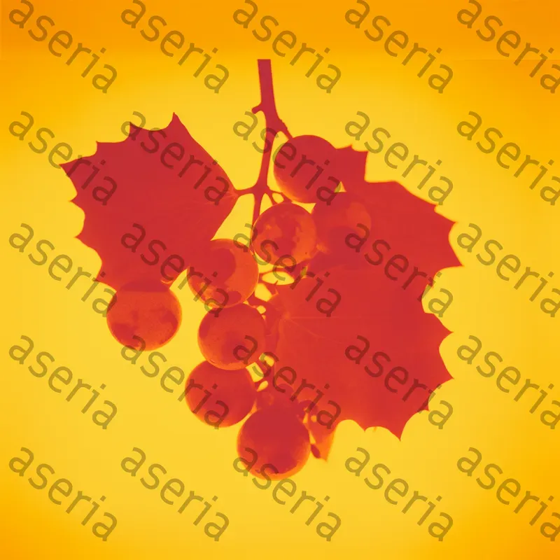 Redscale Photos For Covers Midjourney Prompt | PromptBase