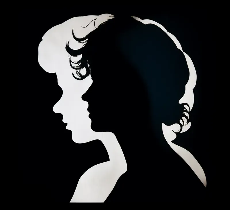 Negative Space Black And White Art Midjourney Prompt | PromptBase