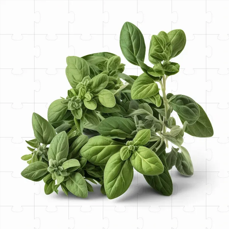 Fresh Herbs Midjourney Prompt | PromptBase