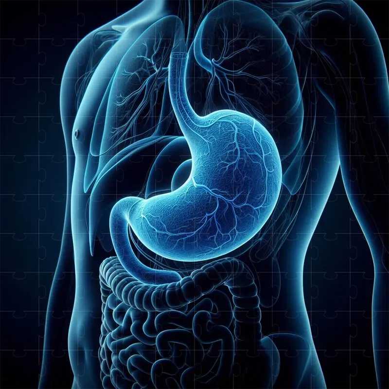 Anatomical Elegance Side Views DALL·E Prompt | PromptBase