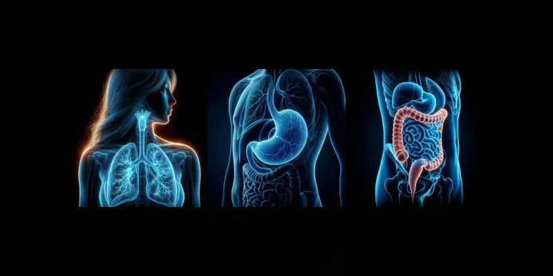 Anatomical Elegance Side Views DALL·E Prompt | PromptBase