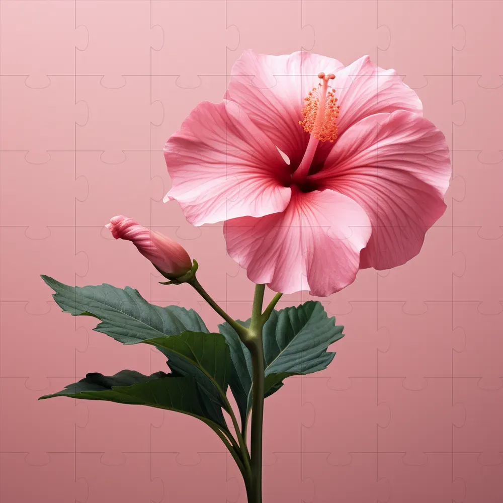 Simple Flower Photographs Midjourney Prompt | PromptBase