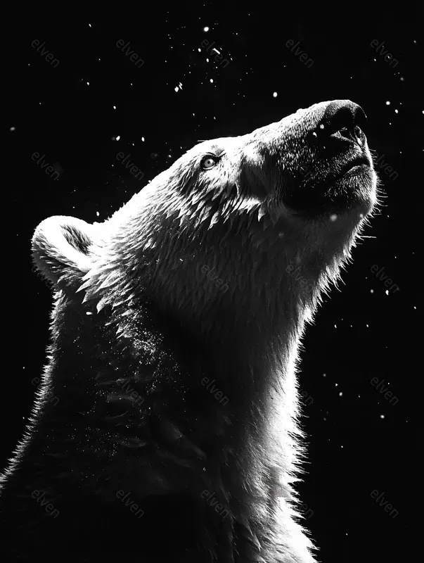Pure Black And White Portraits Midjourney Prompt | PromptBase